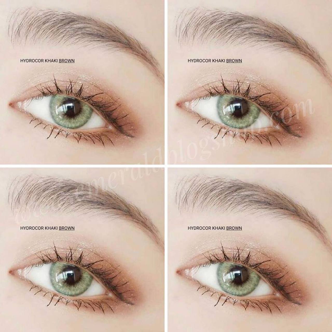 Hydrocor Molicon Khaki Brown Lens – Eika Shopper